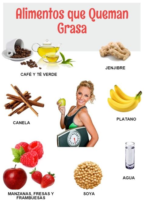 Nutricionista Estudiar Alimentos Para Bajar De Peso Y Quemar Grasa