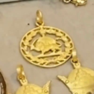 Shayan Sardarizadeh On Twitter The Woman Seen In This Viral Video On