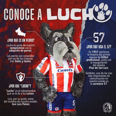 Por Qu La Nueva Mascota Del Atl Tico De San Luis Es Un Perro