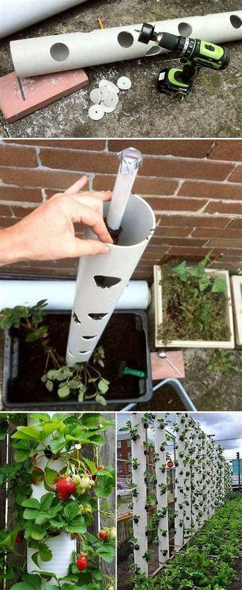 19 Smart DIY Ideas For Growing Strawberries In Small Space