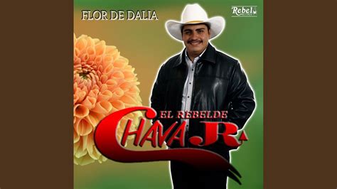 Flor De Dalia Youtube