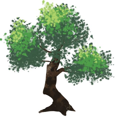 Shiuli Flower Png Clipart