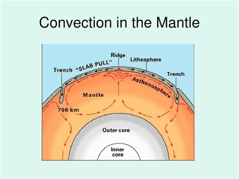 Diagram Of Convection Cells In The Mantle