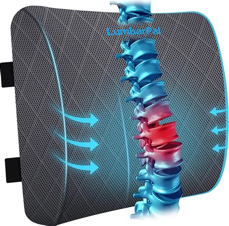 Amazon Lumbar Support Pillow For Office Chair Back Support Lumbar