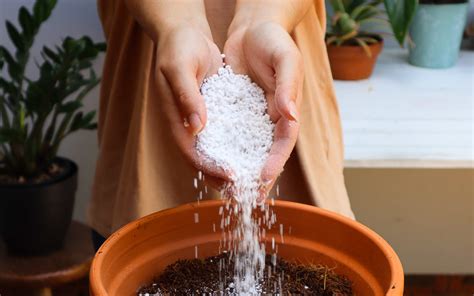 The Perfect Potting Soil Mix For Growing Tomatoes In Pots Tomato Bible