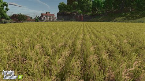 So Pflanzt Man Reis Im Landwirtschafts Simulator 25