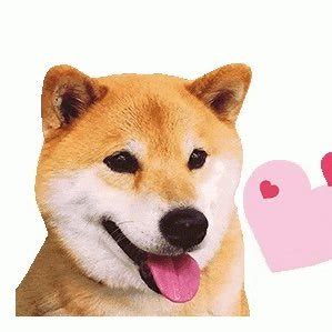 D lisディーリス on Twitter また遊んだ感想などもコメントで頂き嬉しい限りですバグに関してもまとめつつもまだ報告