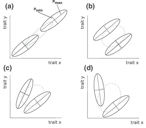 Schematic Representation Of Different Hybridization Scenarios Between