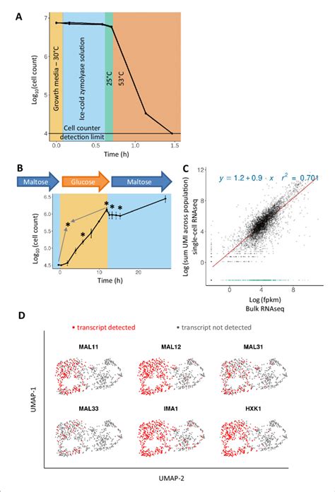 adapting the 10x genomics single cell rna seq platform for yeast download scientific diagram