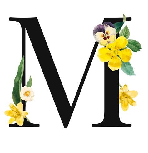 Letter M PNG Images Transparent Background PNG Play