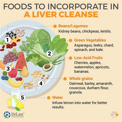 Best Detox Foods For Liver Deporecipe Co