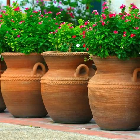 Decorar Macetas De Barro Sencillo Y Paso A Paso Guia De Jardin