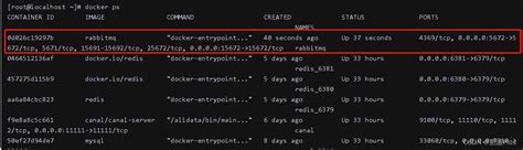 docker中的rabbitmq的安装 rabbitmq docker安装 csdn博客