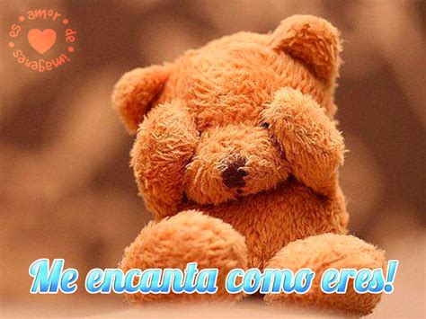 50IMÁGENES de OSITOS Amor Gratis Tiernos Frases