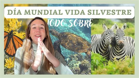 QUÉ ES el Día Mundial de VIDA SILVESTRE por qué se CELEBRA