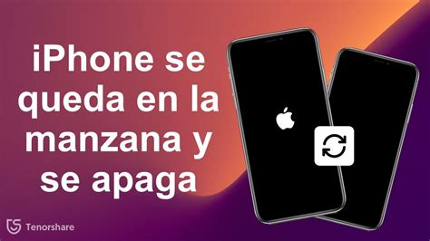 Qu Hacer Si Mi Iphone Se Queda En La Manzana Y Se Apaga Youtube