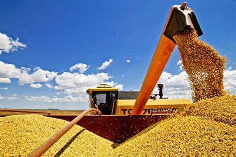 início da colheita Conab prevê produção de soja de 133 7 milhões