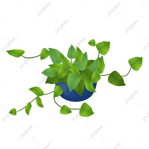 Plantas En Macetas Png Plantas Verdes Plantas En Macetas Png Verde