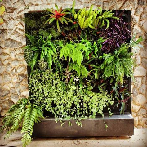 Como Hacer Un Jardin Vertical En Casa O En El Patio