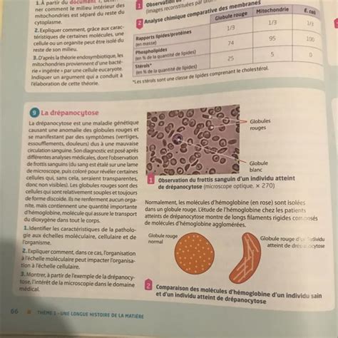 Bonjour Jaurais Besoin Daide Pour Cet Exercice Svp 1 Identifier Les