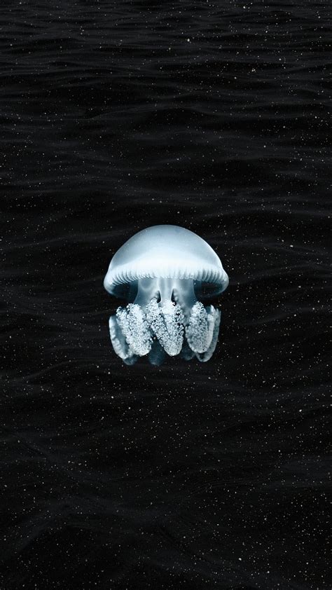 Aggregate 76 Aesthetic Jellyfish Wallpaper Super Hot In Cdgdbentre