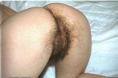 Hairy Anal Licking Telegraph