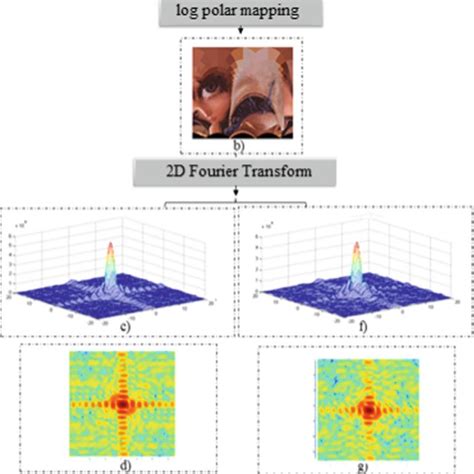 the visualization of the analytic clifford fourier mellin transform download scientific