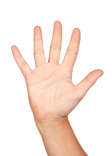 Mano Abierta Aislada Sobre Fondo Blanco Foto Premium