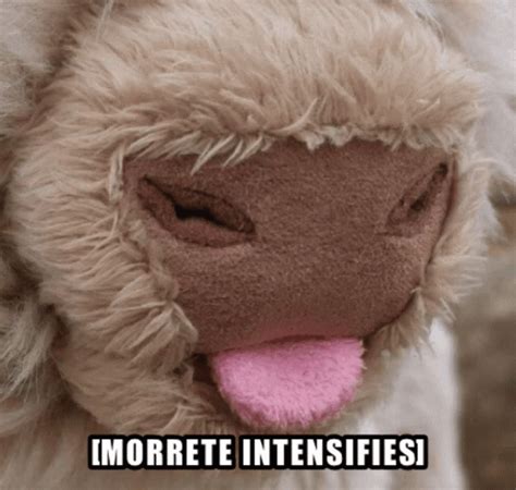 Morrete Intensifies Morrete Intensifies Cow Discover Share GIFs