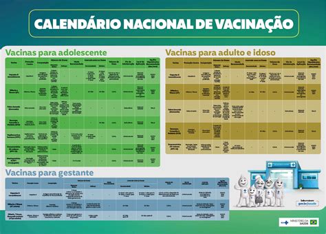 PNI entenda como funciona um dos maiores programas de vacinação do
