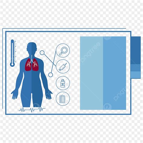Human Structure Vector Art PNG Flat Medical Human Structure Human