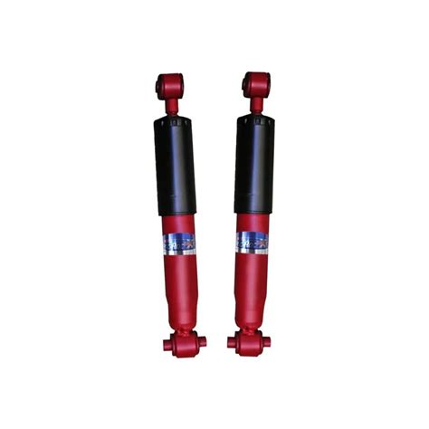Amortiguadores Traseros Fric Rot Peugeot X
