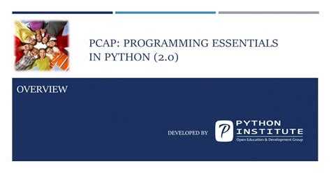 pcap programming essentials in python overview [pdf document]