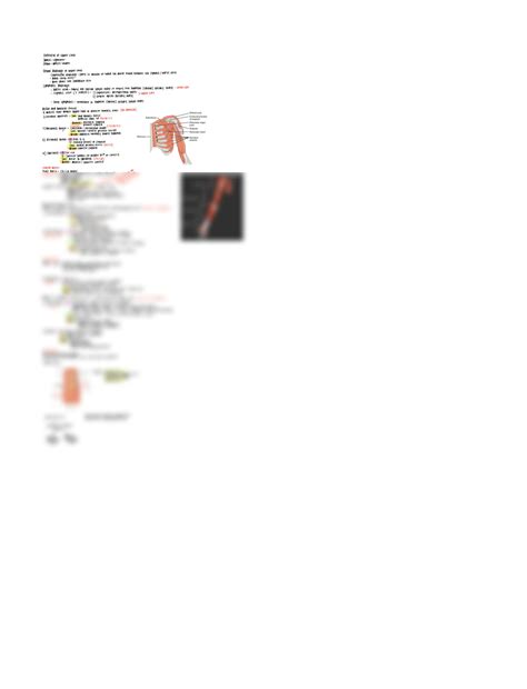 SOLUTION Anatomy Notes On Overview Of The Upper Limb And Axilla And