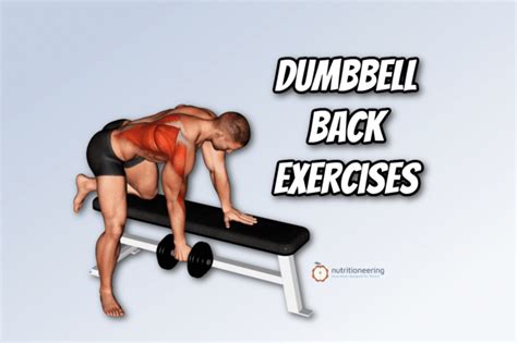 13 Dumbbell Lat Exercises To Beef Up Your Back Workout