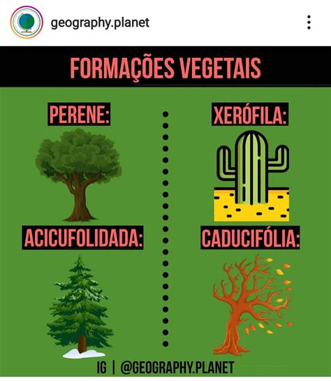 FÓRMULA GEO Formações vegetais conforme características das folhas