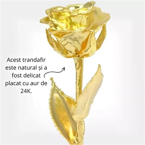 Trandafir Placat Cu Aur De 24K MindBlower
