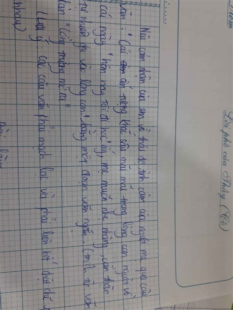 Hãy viết 1 đoạn văn ngắn nêu cảm nhận của em về thái độ và tình cảm của