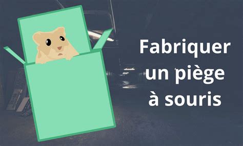 Comment Faire Un Piege A Souris Fait Maison Ventana Blog