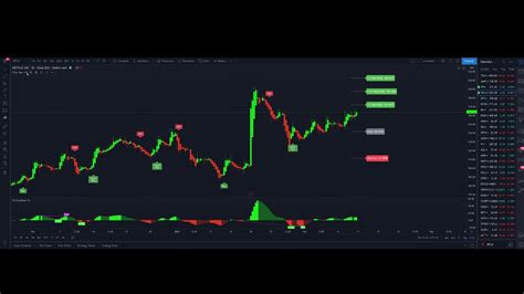 Introducing Elite Algo By EliteSignals Take Your Trading To The Next