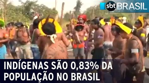 Brasil tem mais de 1 milhão de indígenas segundo Censo SBT Brasil