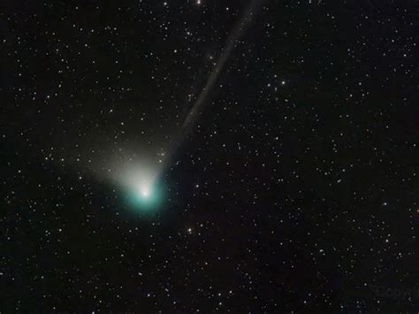 Rare Comet All You Need To Know About The Green Cosmic Wanderer