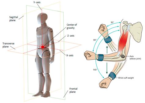 New Method For Reduced Number IMU Estimation In Observing Human Joint