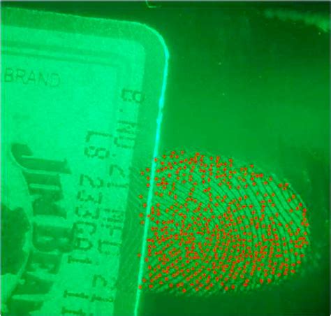 a partial latent fingerprint sample b result of pore extraction on download scientific