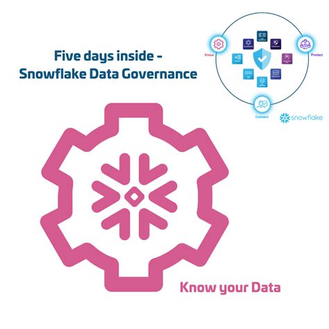 build local building an interactive data app with snowflake and streamlit daanalytics