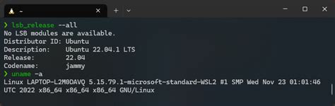 wsl is just linux upgrading ubuntu on wsl throwin exceptions