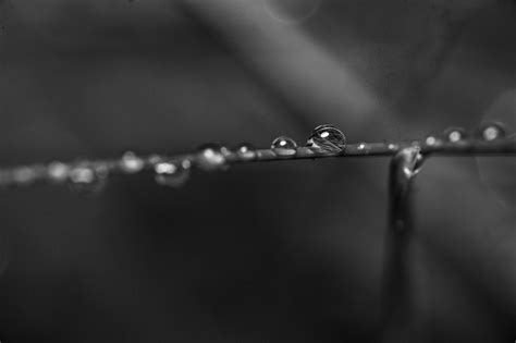 Gouttes D Eau Gouttelettes Photo Gratuite Sur Pixabay