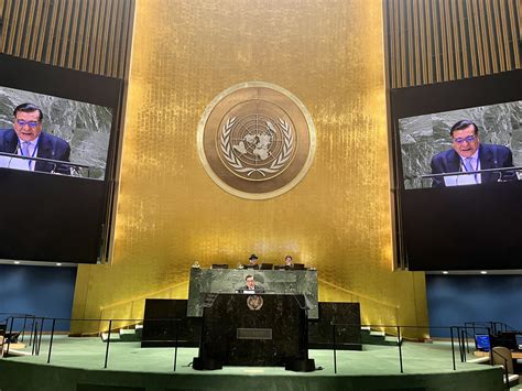 ONU declara el 30 de mayo Día Internacional de la Papa Diario La Noticia