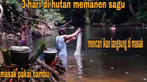 3 HARI DI HUTAN 1 KAMPUNG PANEN SAGU SECARA TRADISIONAL HASIL NYA