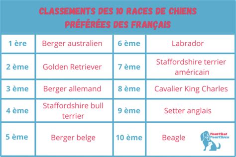 Le classement des 10 races de chiens préférées des Français TOUT CH